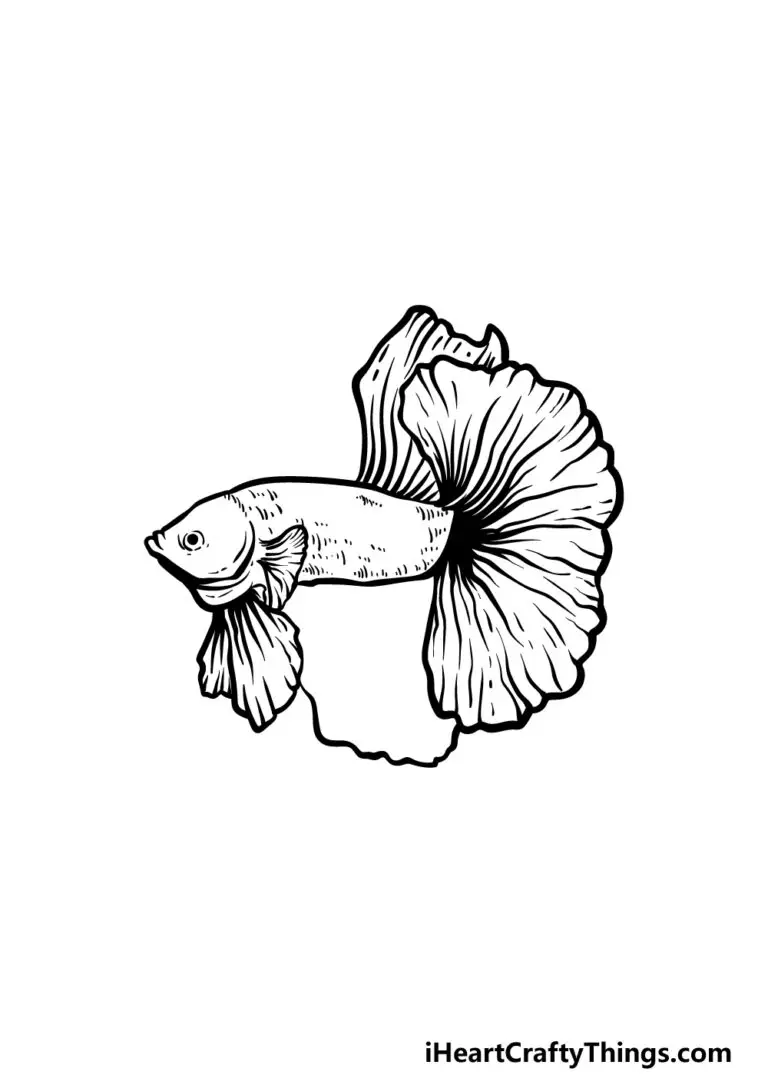 Betta Fish Sketch: How To Draw Your Own Betta Fish - Betta Fish World