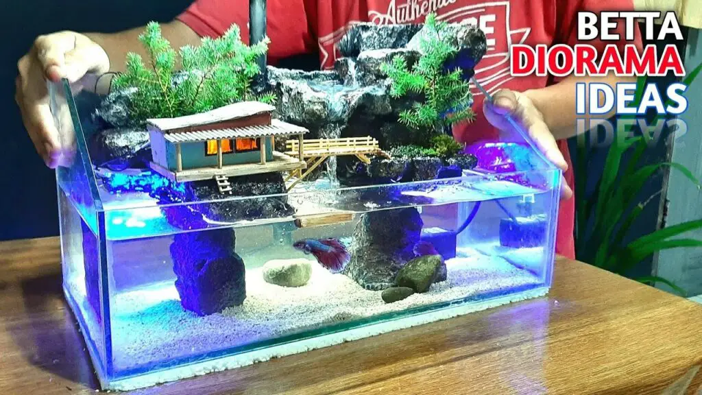 More Unique Betta Fish Tank Ideas To Inspire Your Creativity - Betta ...