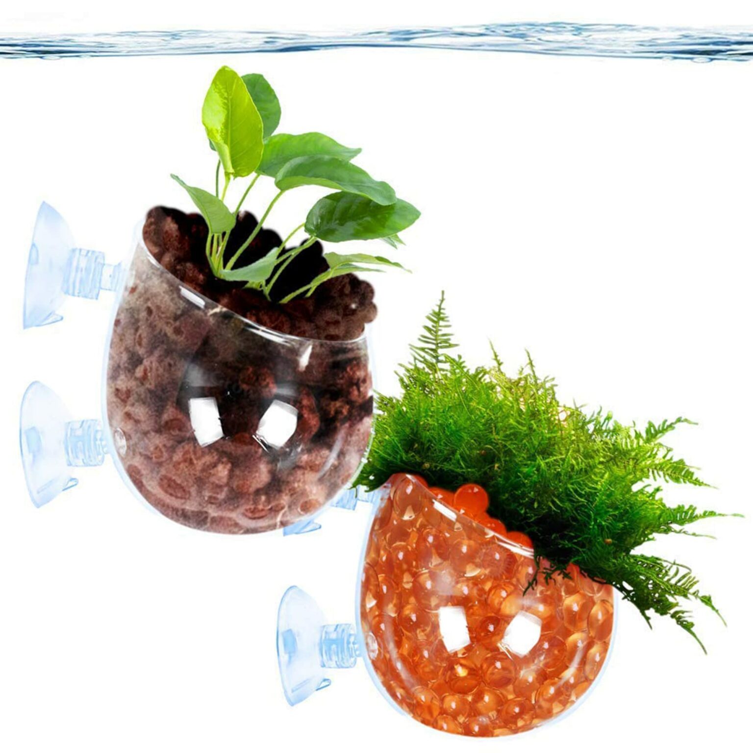 Creative Ways To Use Suction Cup Plants In Your Aquarium - Betta Fish World