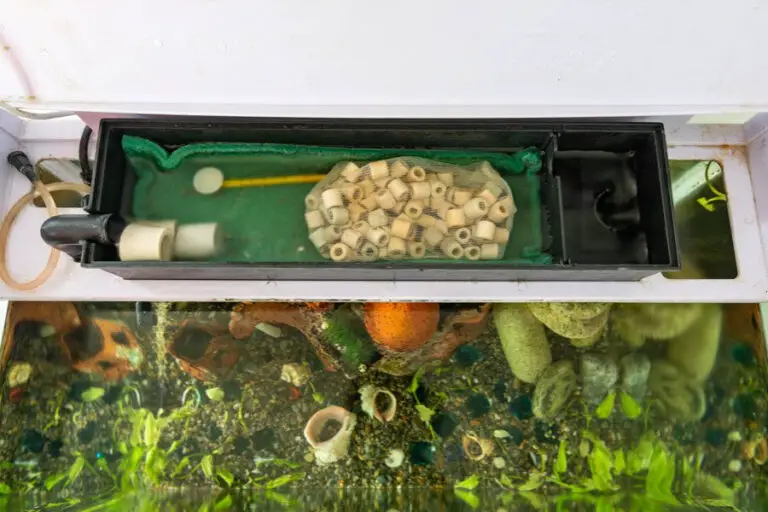 Where To Put Ceramic Rings In Top Fin Aquarium? - Betta Fish World